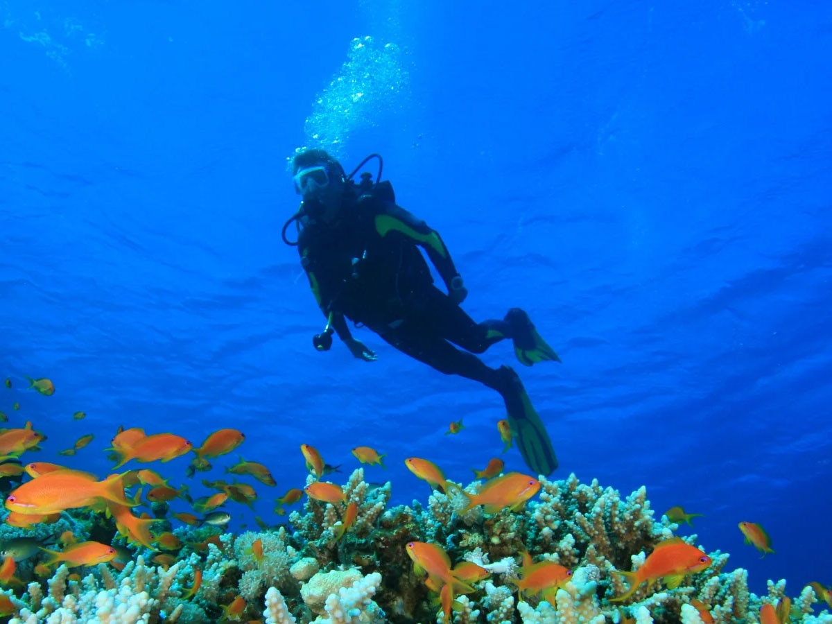 Best Places to Visit in Lakshadweep Island Top Tourist Destination ...