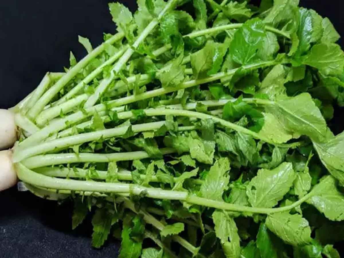 mooli ke patte ke fayde Radish leaves benefits in winter how to eat ...