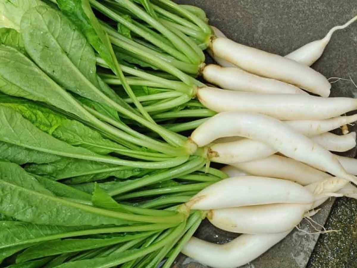 mooli ke patte ke fayde Radish leaves benefits in winter how to eat ...