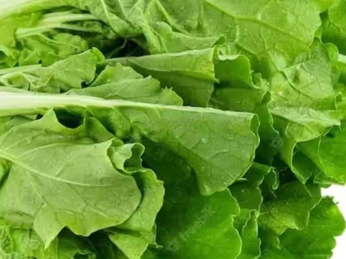 mooli ke patte ke fayde Radish leaves benefits in winter how to eat ...