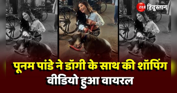 poonam pandey on shopping with her pet dog ceaser video viral | पूनम ...