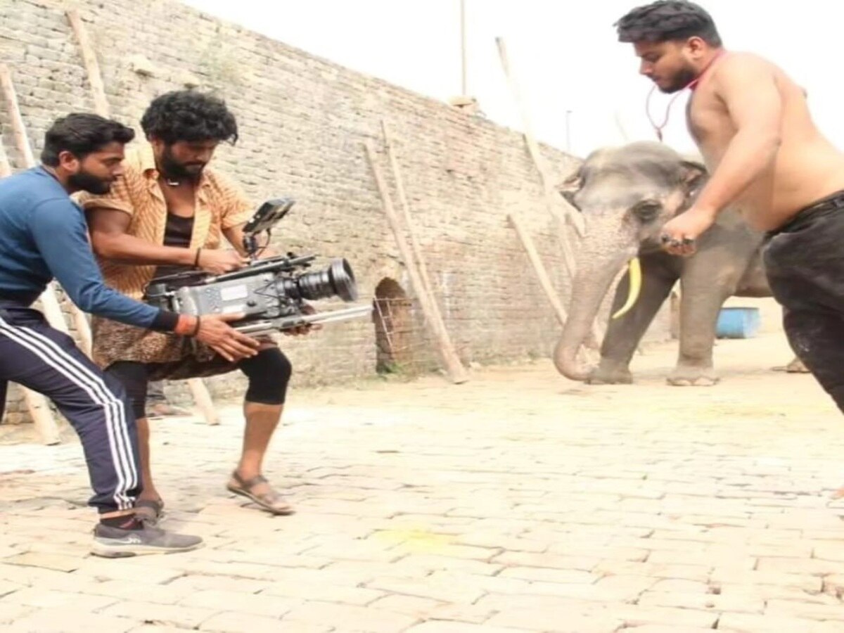 Bhojpuri film Shooting Hathi Mere Sathi see pictures| इस तरह से हुई ...