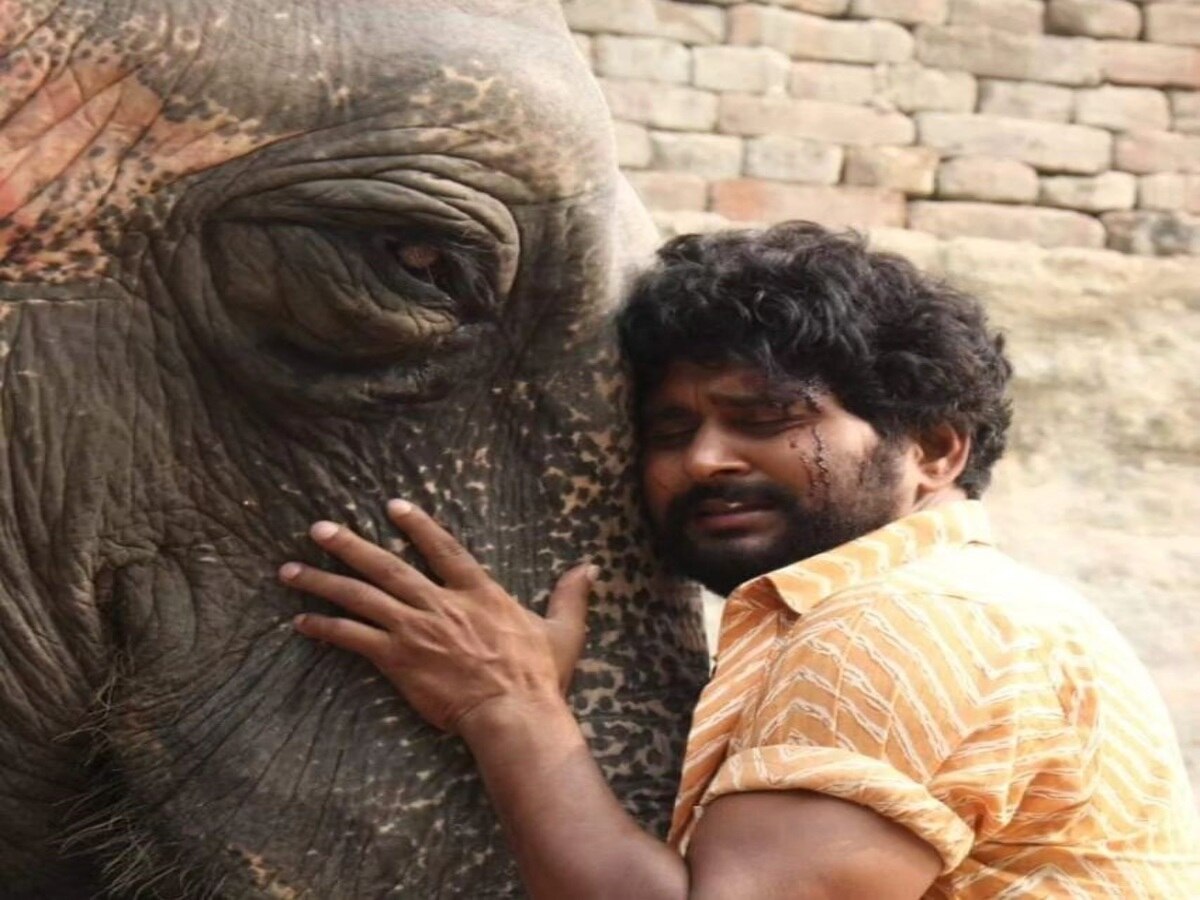 Bhojpuri film Shooting Hathi Mere Sathi see pictures| इस तरह से हुई ...