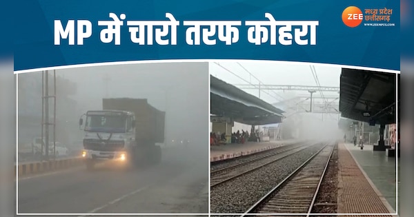 MP Weather Update Dense fog in Shahdol AND OTHER district in state ...