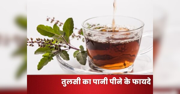 Benefits of drinking basil water every morning | Tulsi water Benefits ...