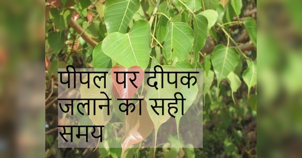 deepak lighting tips know best time to light diya in front of peepal ...