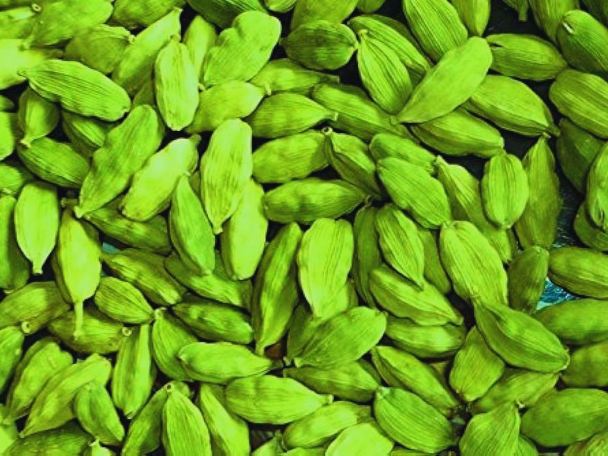 रात में इलायची खाकर सोएं, मिलेंगे ये दमदार फायदे