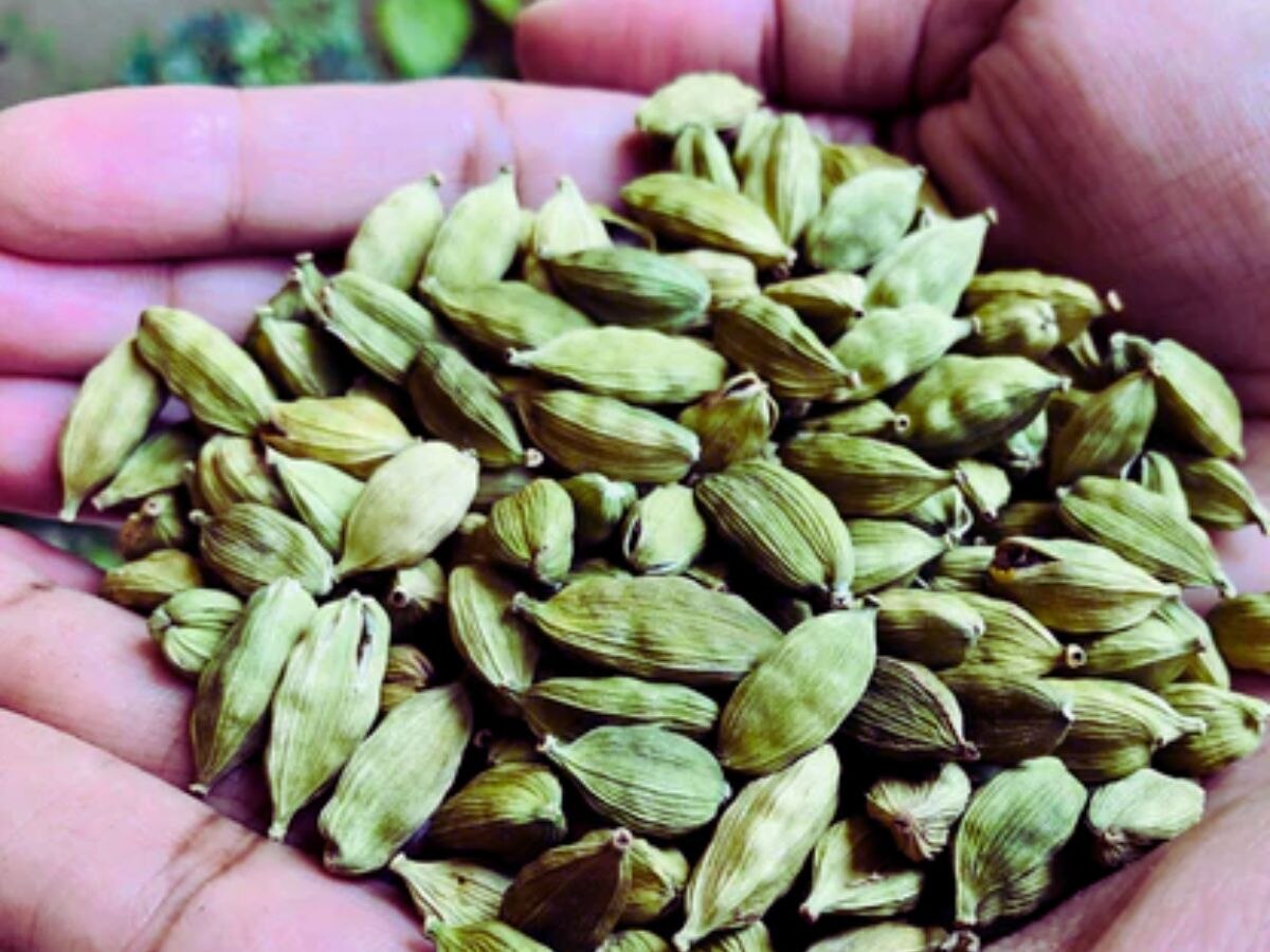 रात में इलायची खाकर सोएं, मिलेंगे ये दमदार फायदे