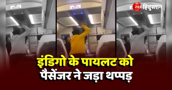 indigo flight passenger punches pilot during plane delay announcement video viral | Indigo ...