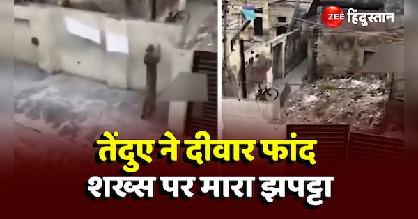 Leopard attack on man scary animal wildlife video viral | Leopard ...