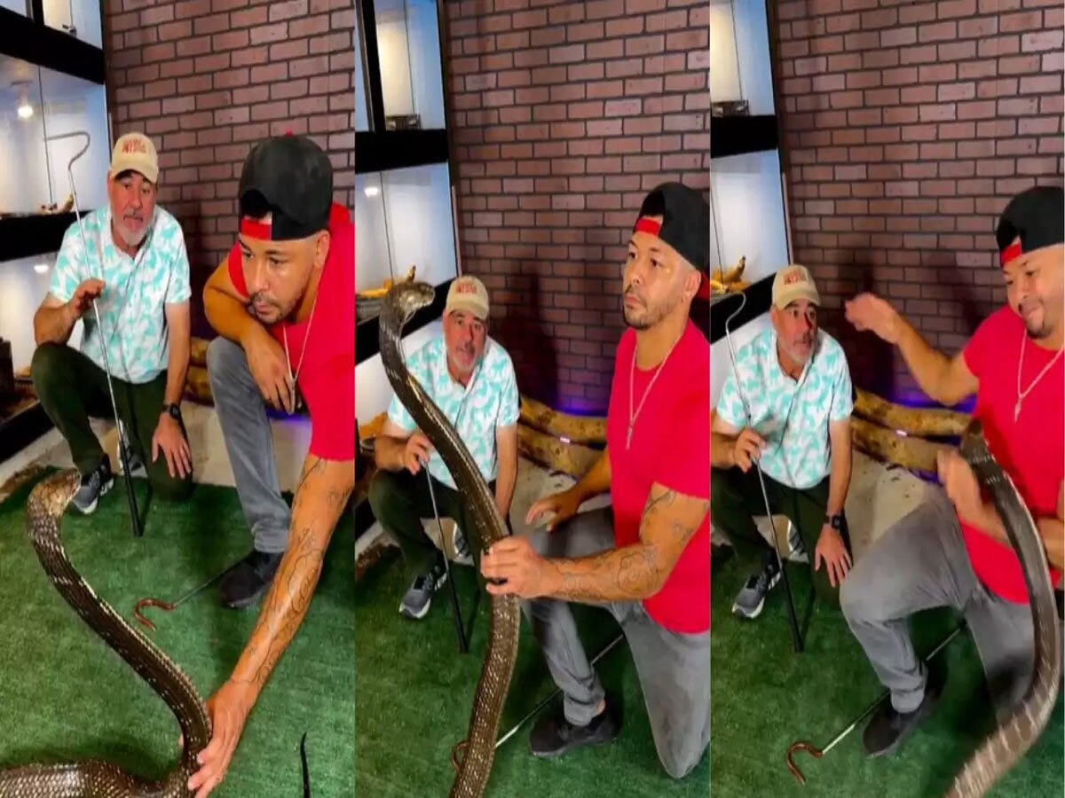 trending today king cobra attack on man shocking video viral | नागराज कोबरा को पकड़ने की कोशिश ...
