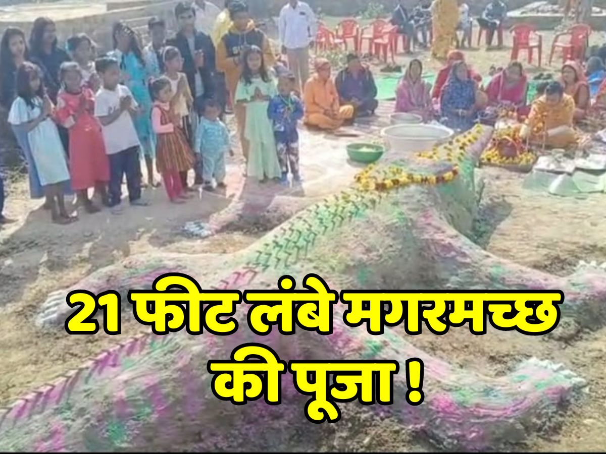 Kota news Bengali society worship this dangerous creature on day of ...