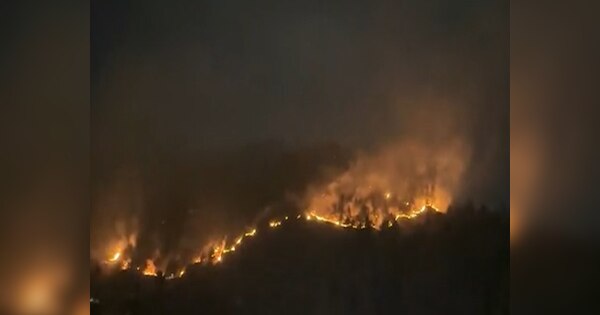 62 forest fire incidents news in kullu himachal in two months many tree ...