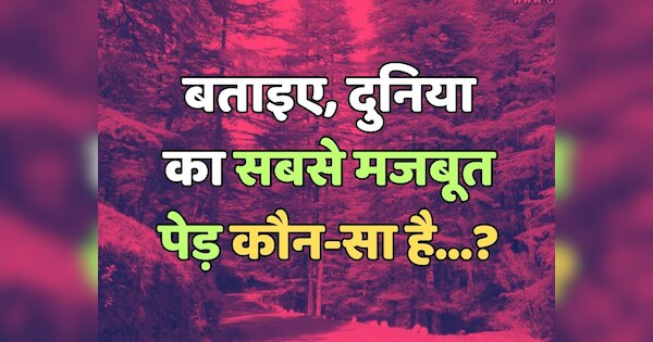 Trending Quiz दुनिया का सबसे मजबूत पेड़ कौन सा है General