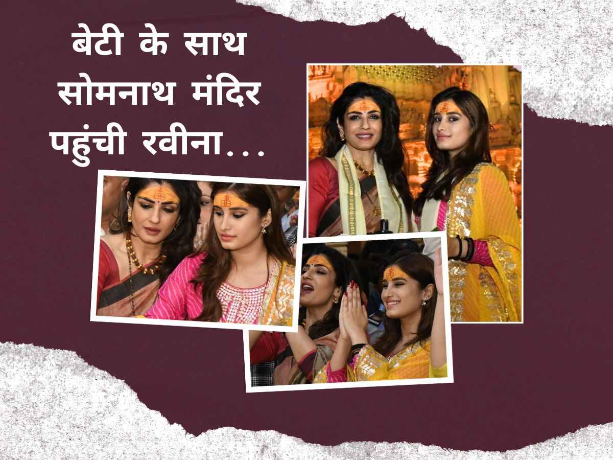 Bollywood latest news 12th fail shahid kapoor kriti sanon raveena ...