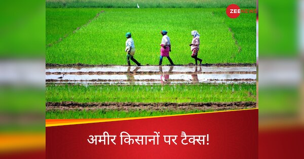 RBI MPC Member Ashima Goyal suggest Tax on rich Farmer Income in Budget ...