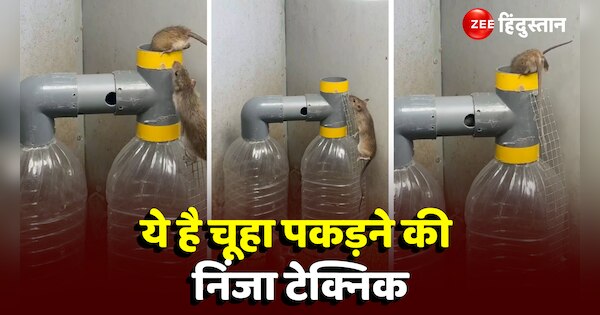 rats catching easy tricks video viral watch chuha pakadne ka desi ...