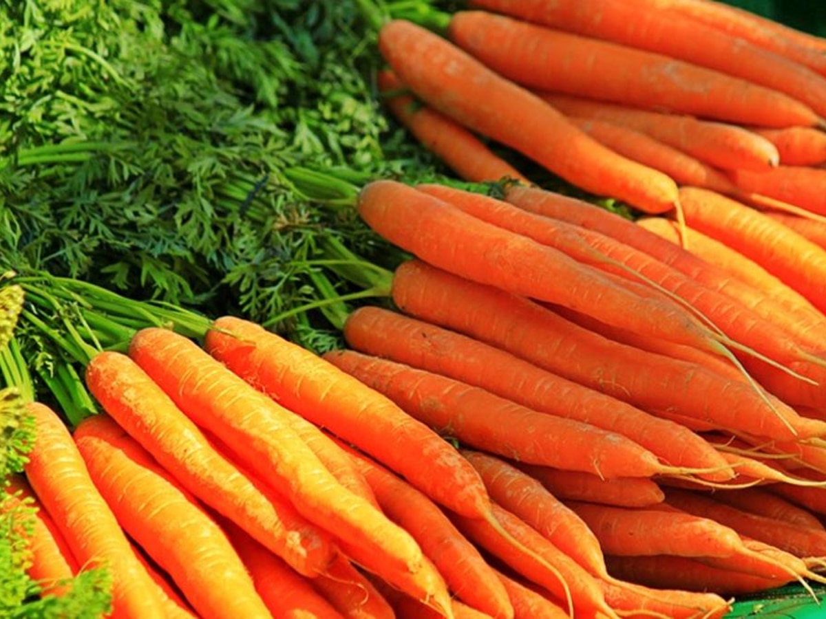 Consume these 5 vegetables in winter your body will remain strong ...