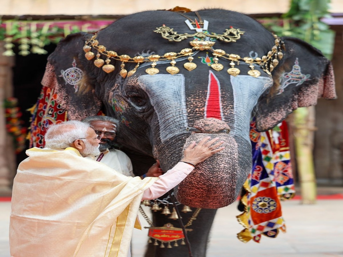 pm modi worshiped at srirangam temple blessed by elephant and priest ...