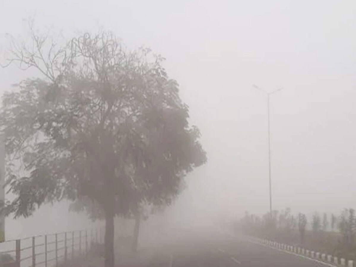 Rajasthan Weather Update Fog attacks in these districts of Rajasthan cold wave alert issued ...