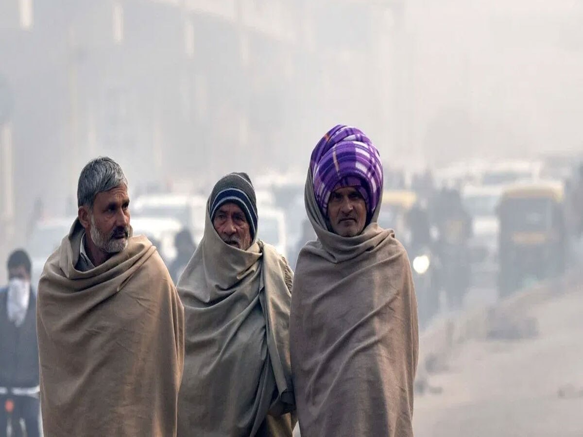 Rajasthan Weather Update Fog attacks in these districts of Rajasthan cold wave alert issued ...