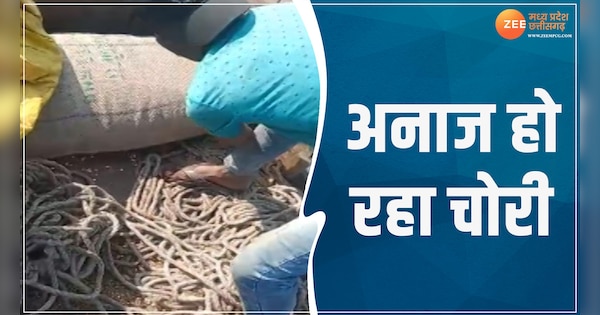 Harda Timarni Railway warehouse grain theft video viral on social media ...