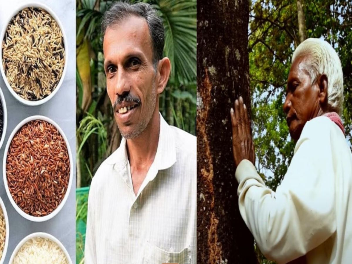 list of padma awards 2024 announced on republic day evening parbati ...