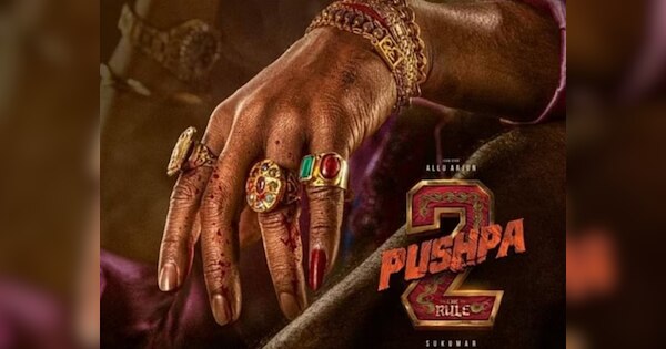 Allu Arjun new look will be seen in Pushpa 2 are you ready | Pushpa 2 ...