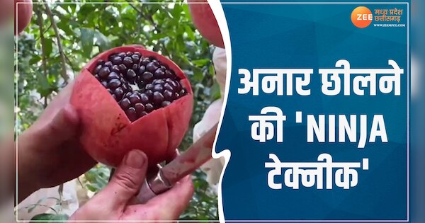 viral video easy pomegranate opening technique watch video asani se ...