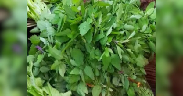 Bathua Juice Benefits in Hindi eating Bathua Properties Nutrients ...