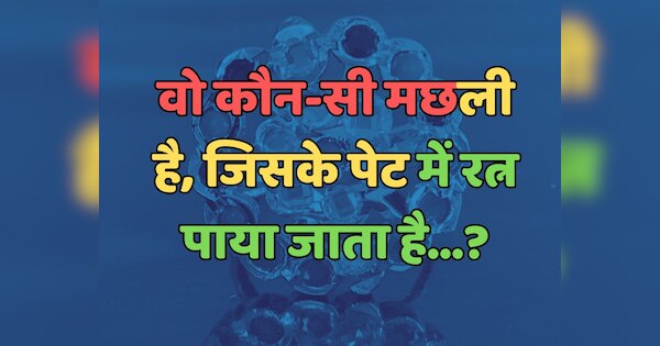 Trending Quiz वो कौन सी मछली है जिसके पेट में रत्न पाया जाता है