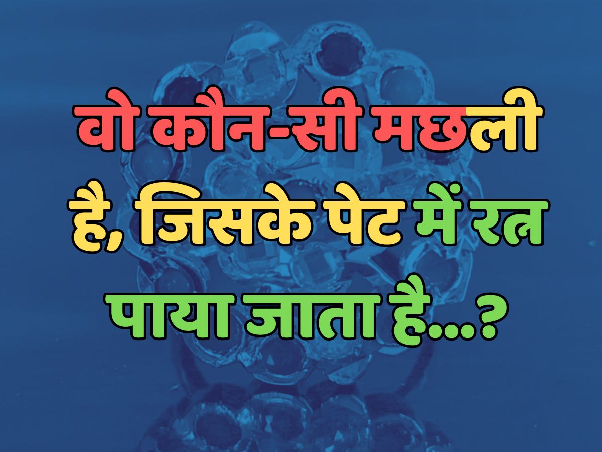 Trending Quiz वो कौन सी मछली है जिसके पेट में रत्न पाया जाता है