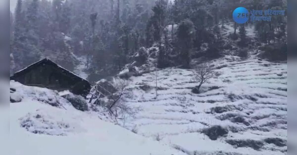 Snowfall video of mandi himachal pradesh weather update news rainfall ...