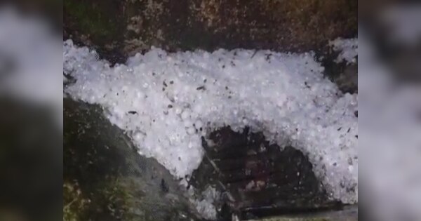 Heavy rain along with hailstorm occurred in Ambala Meteorological Department issued orange alert ...