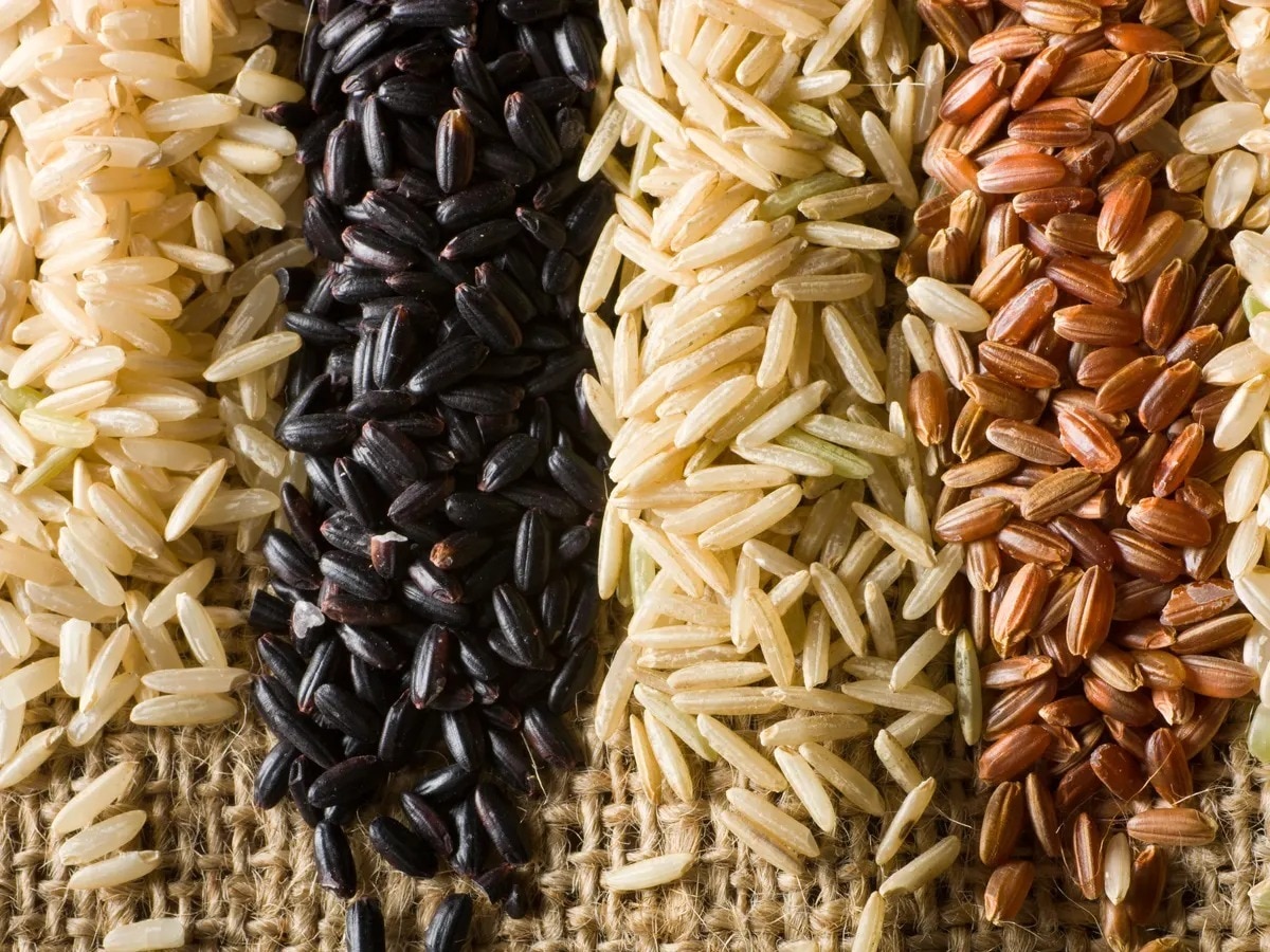 polished rice or unpolished rice health benefits of eating| polished ...