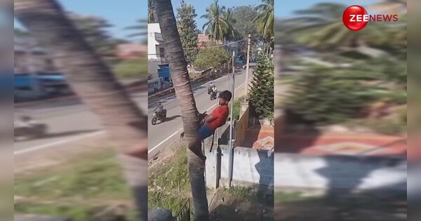 man cutting tree with unique trick netizens impressed watch best ...