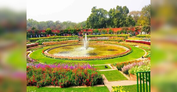 मुगल गार्डन में मिलेगी Free एंट्री, मुफ्त शटल का भी उठा सकेंगे लाभ ...
