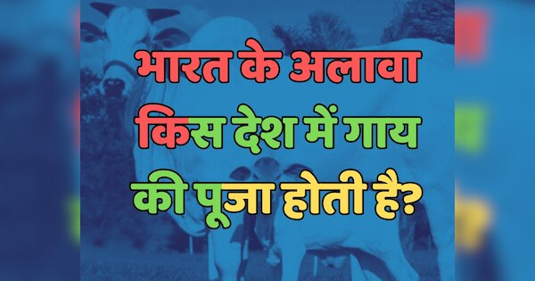 Trending Quiz भारत के अलावा किस देश में गाय की पूजा होती है