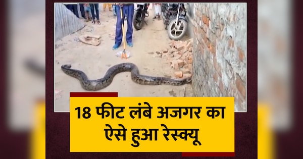 Snake Video Panic in village due python coming out in Bagaha forest ...