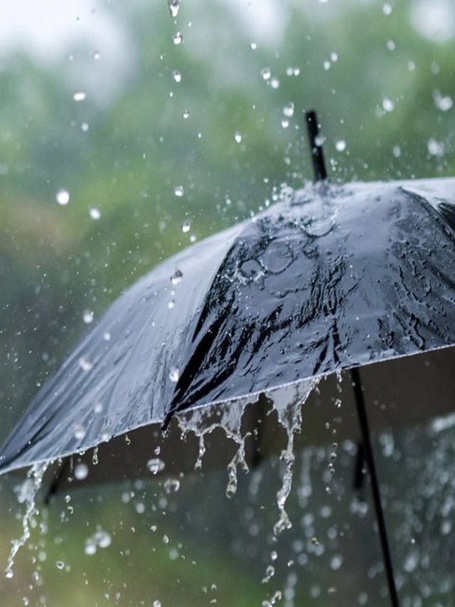 Bihar Weather Today bihar rain weather change know when will you get ...