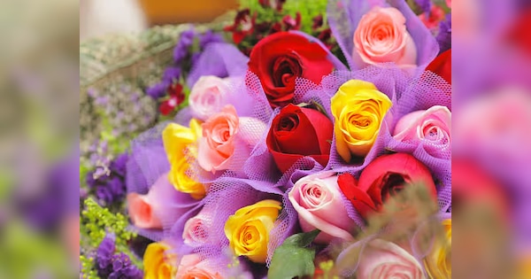 Happy Rose Day 2024 different Types of roses their meaning and ...