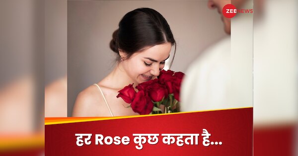 rose day 2024 different colours of roses and their meanings|Rose Day ...