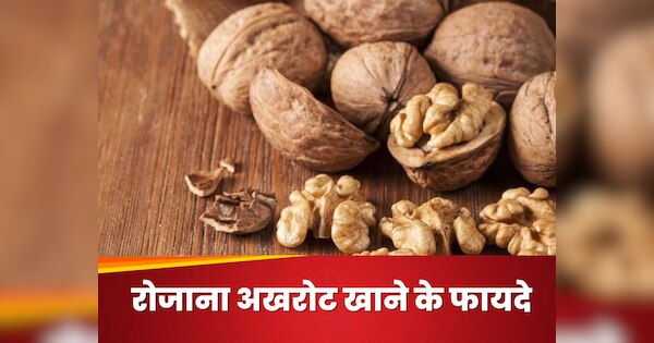 What are the benefits of eating walnuts daily for 15 days | Walnut ...