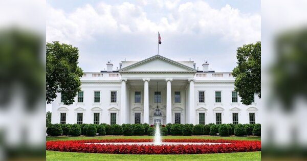 Vivek saini to neel acharya indian students death rate increase in ...