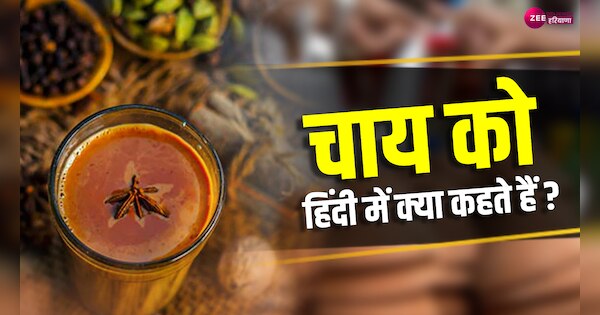 History of Tea origin story hindi name of chai interesting fact video ...