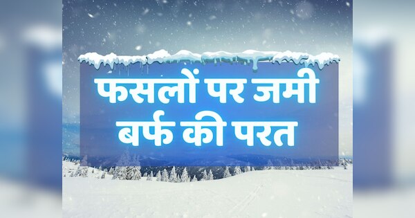 Rajasthan Weather Layer of snow on crops winter as opens after Mawath ...