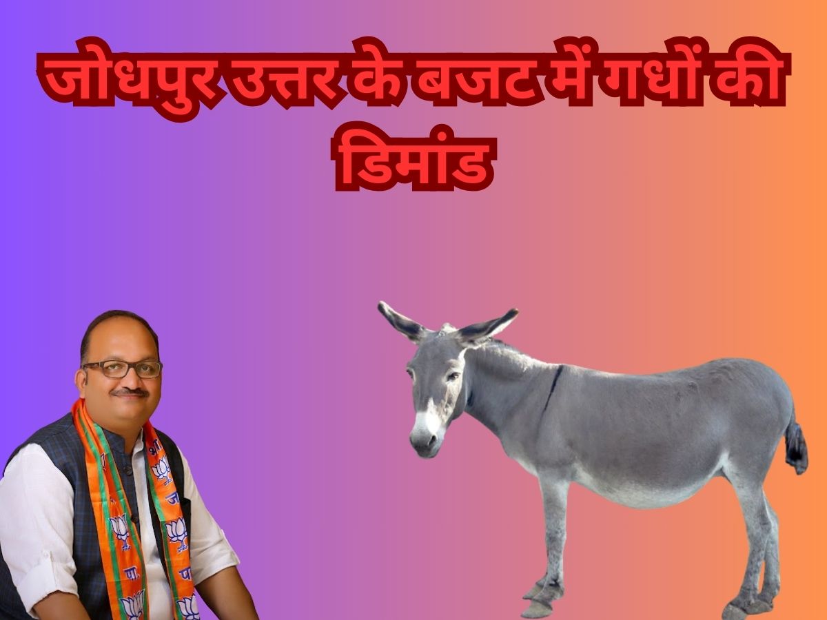 MLA Atul Bhansali demands donkey in Jodhpur North budget | इस वजह से ...