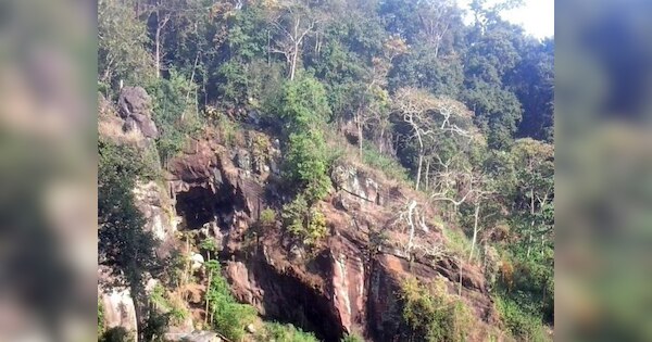 Gupteswar Forest Koraput: ଗୁପ୍ତେଶ୍ୱର ଜଙ୍ଗଲକୁ ମିଳିଲା ଜୈବ ବିବିଧତା ଐତିହ୍ୟ ...