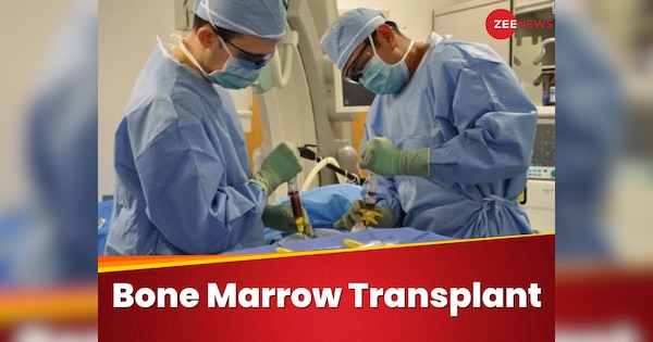 What are the risks and benefits of bone marrow transplant According to ...