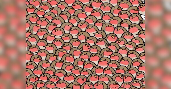 Optical Illusion Find out hidden diffrence and become a genius| Optical ...